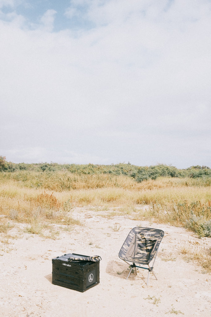 TIGER PALM CHAIR & ZIPPO LIGHTERS – IN4MATION Store